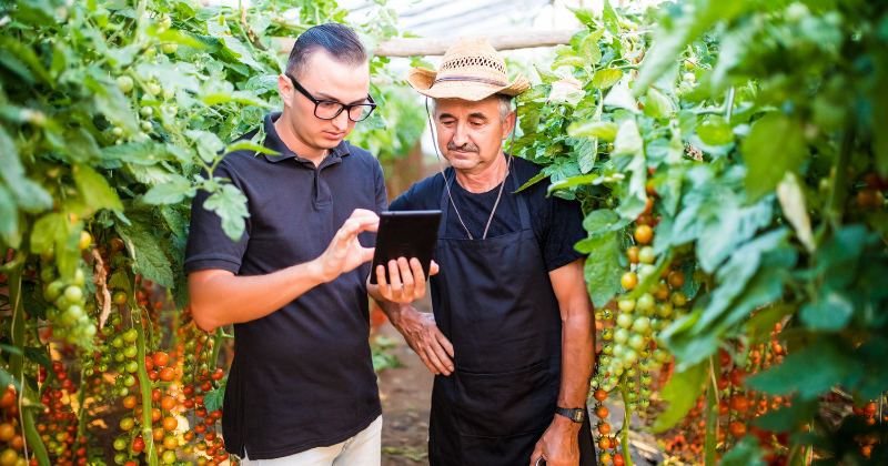 Canada's New Agri-Food Immigration Pilot for Permanent Res | Ackah Law ...